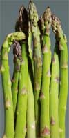 Asperge
